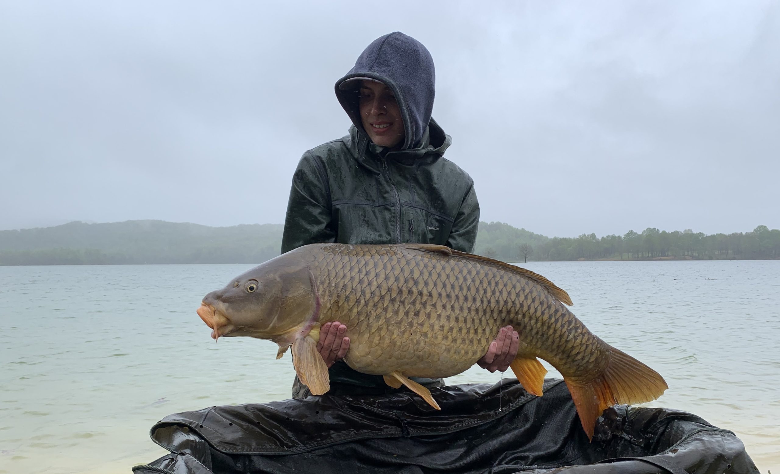 Record Carp Caught