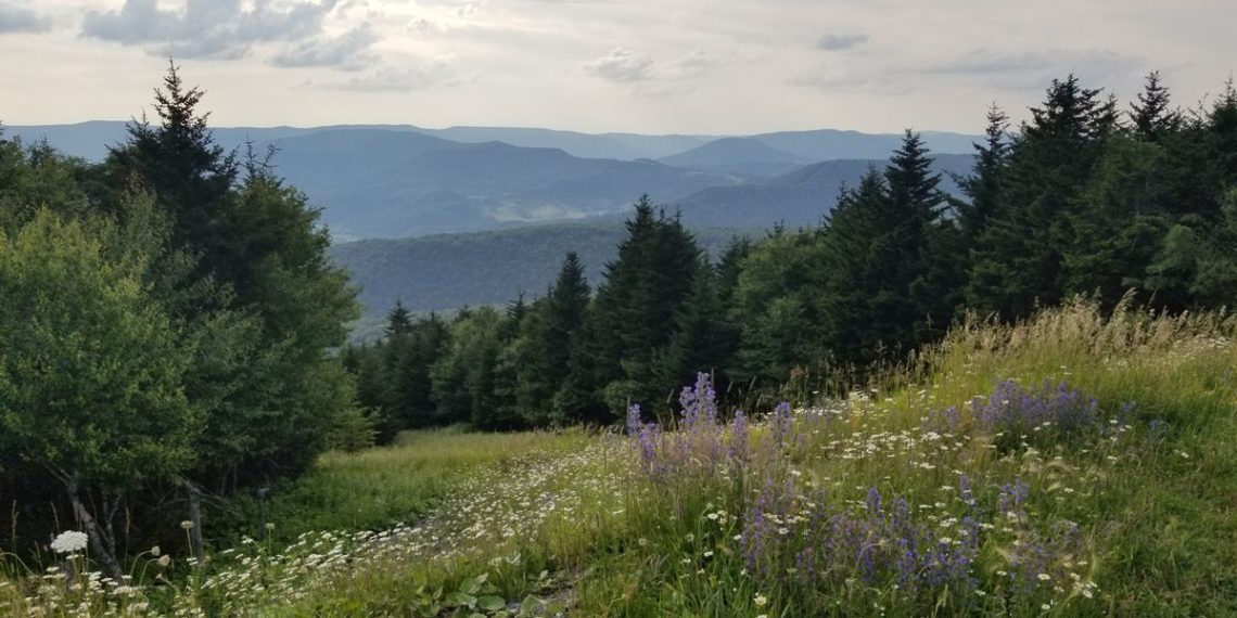Snowshoe Mountain Unveils 2026 Summer Event Lineup Featuring New ...